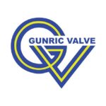 Zenzele Valves | Gunric Valves, Butterfly Valves